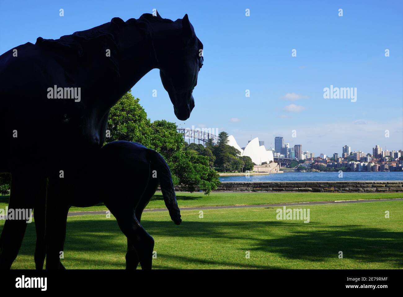 Horse catching a Glimpse of Sydney Opera House and Harbour Bridge from ...