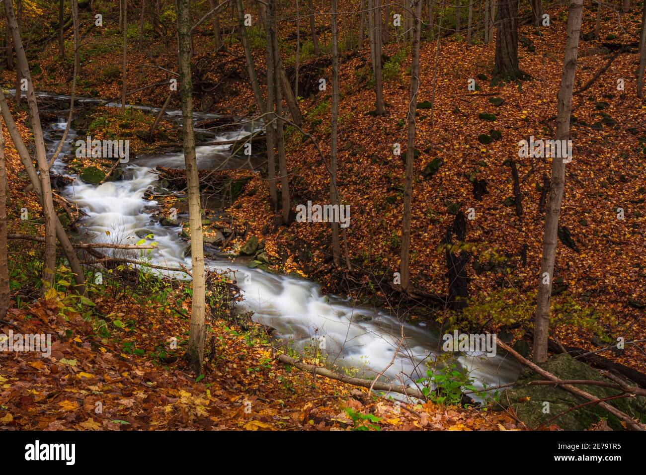 Niagara Escarpment Bruce Trail Autumn Waterfalls and Forest Stock Photo ...