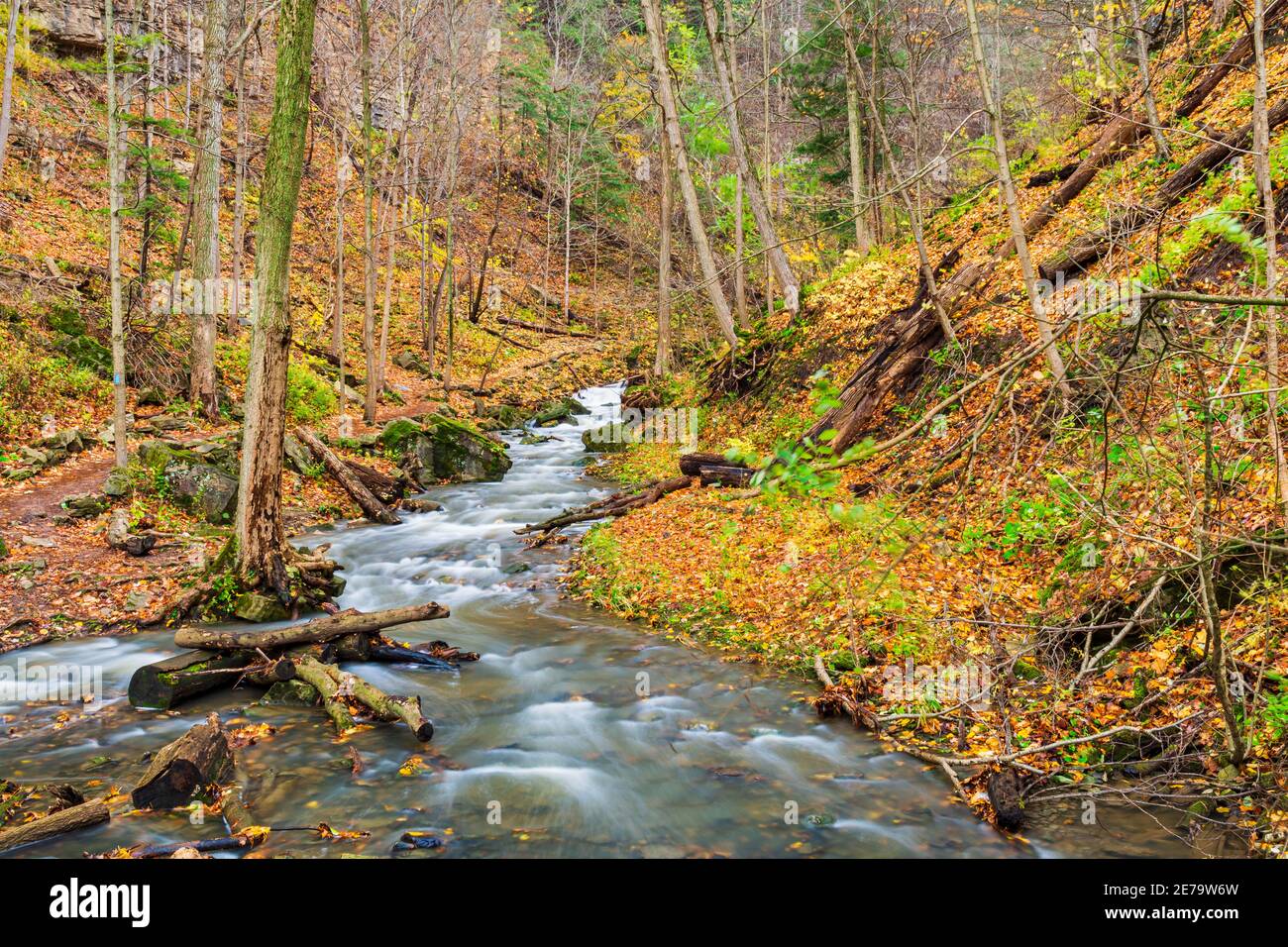 Niagara Escarpment Bruce Trail Autumn Waterfalls and Forest Stock Photo ...