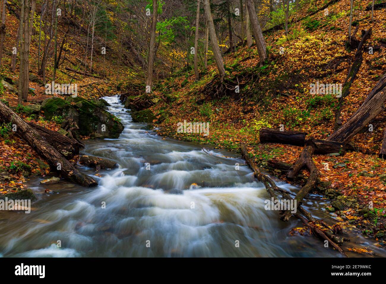Niagara Escarpment Bruce Trail Autumn Waterfalls and Forest Stock Photo ...