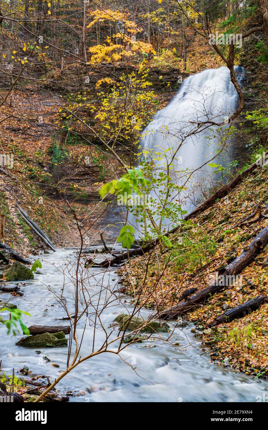 Niagara Escarpment Bruce Trail Autumn Waterfalls and Forest Stock Photo ...