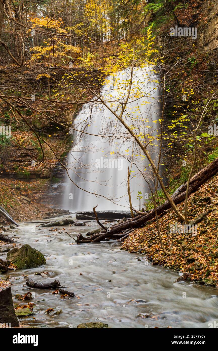 Niagara Escarpment Bruce Trail Autumn Waterfalls and Forest Stock Photo ...