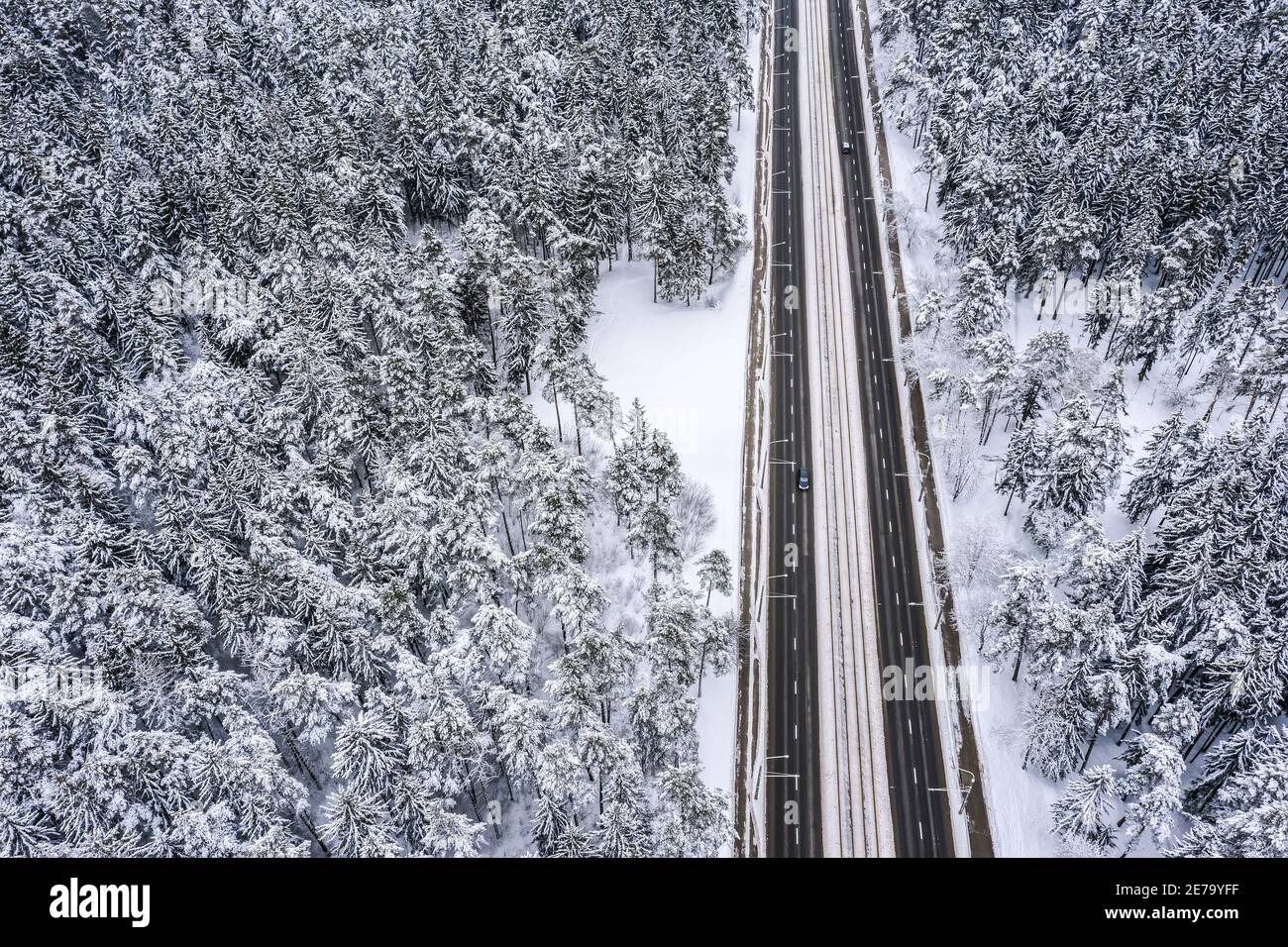 Straight road through forest hi-res stock photography and images - Alamy