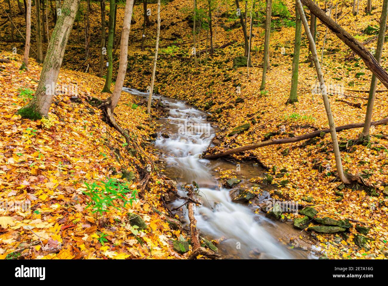 Niagara Escarpment Bruce Trail Autumn Waterfalls and Forest Stock Photo ...