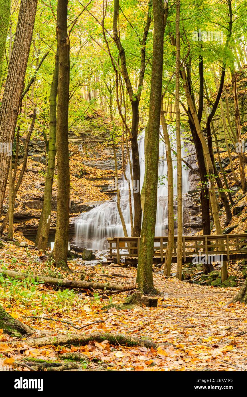 Niagara Escarpment Bruce Trail Autumn Waterfalls and Forest Stock Photo ...