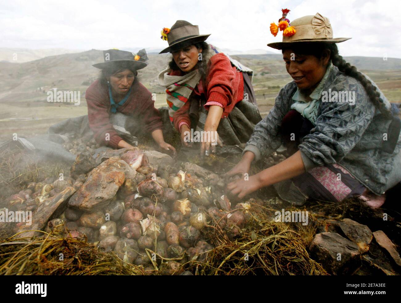 Native potato varieties peru hi-res stock photography and images - Alamy