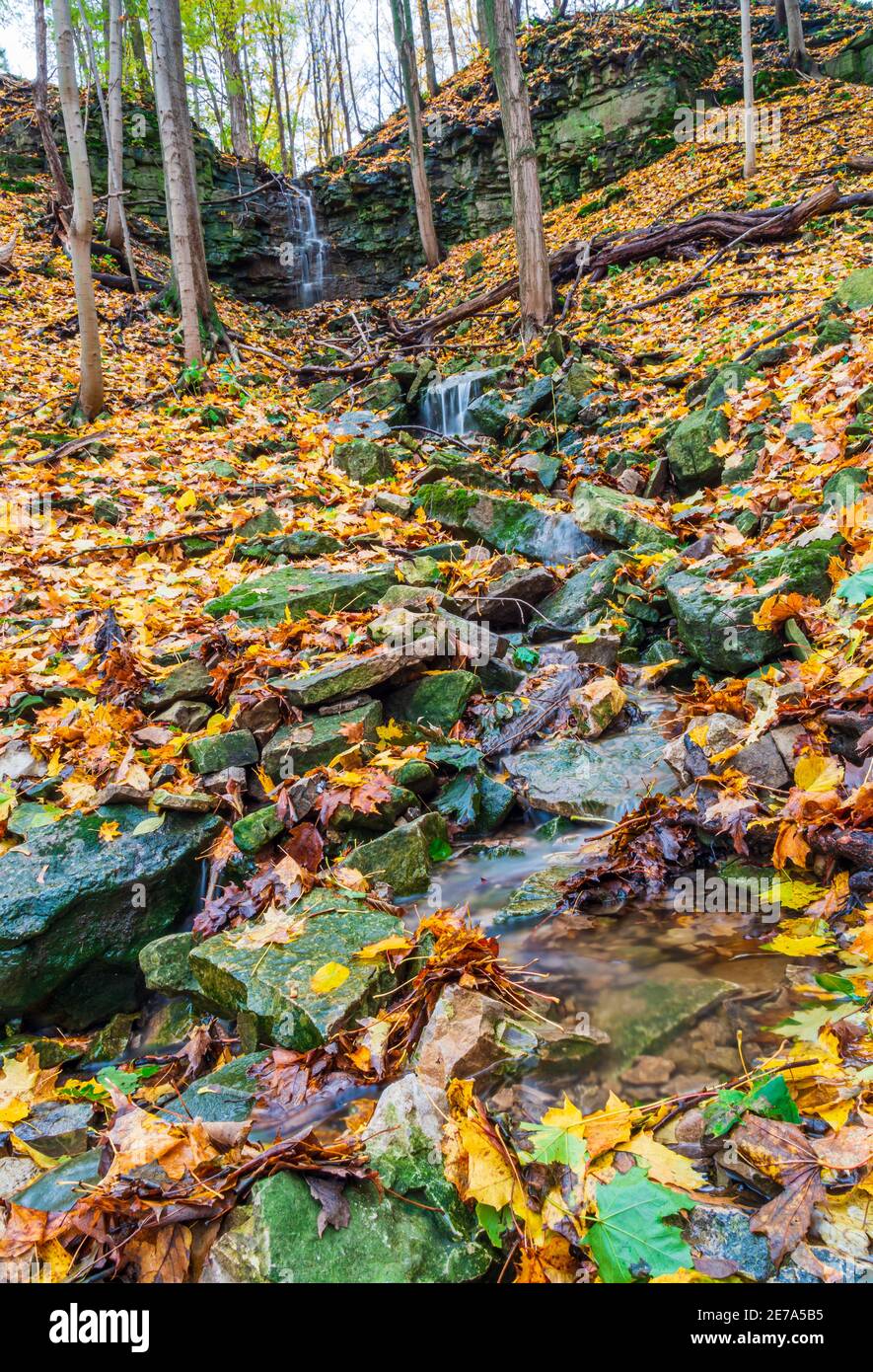 Niagara Escarpment Bruce Trail Autumn Waterfalls and Forest Stock Photo ...