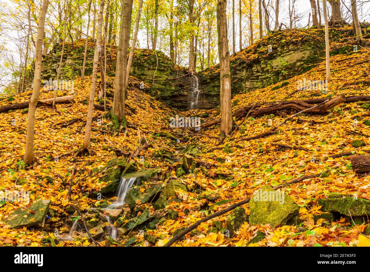 Niagara Escarpment Bruce Trail Autumn Waterfalls and Forest Stock Photo ...
