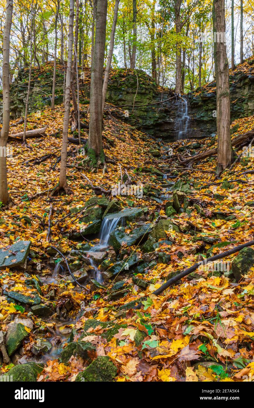 Niagara Escarpment Bruce Trail Autumn Waterfalls and Forest Stock Photo ...