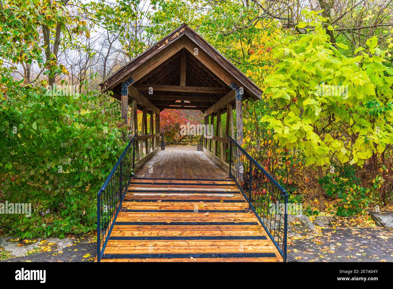Niagara Escarpment Bruce Trail Autumn Waterfalls and Forest Stock Photo ...