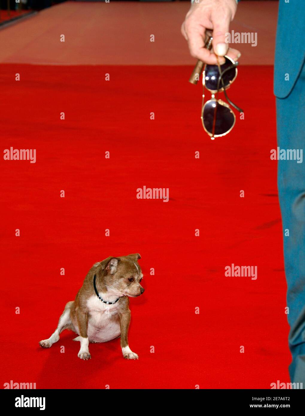 Mickey rourke wrestler hi-res stock photography and images - Alamy