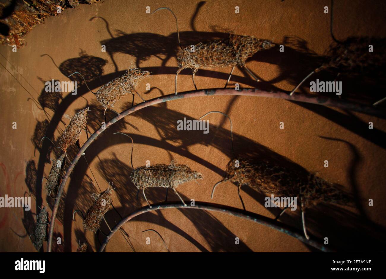 Human rat race hi-res stock photography and images - Alamy