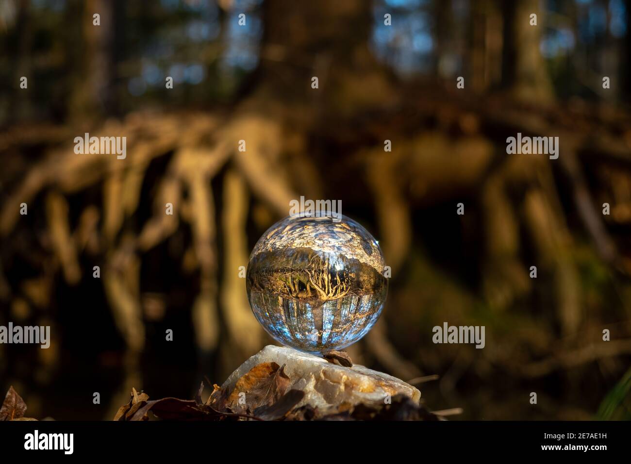 Inverted image hi-res stock photography and images - Alamy