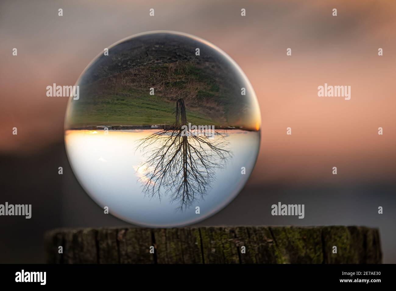 Inverted tree art hi-res stock photography and images - Alamy
