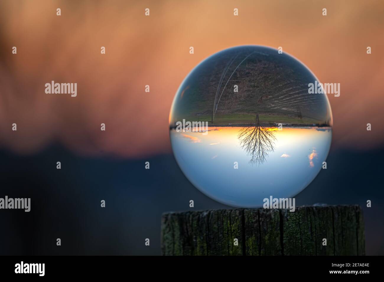 Inverted tree art hi-res stock photography and images - Alamy