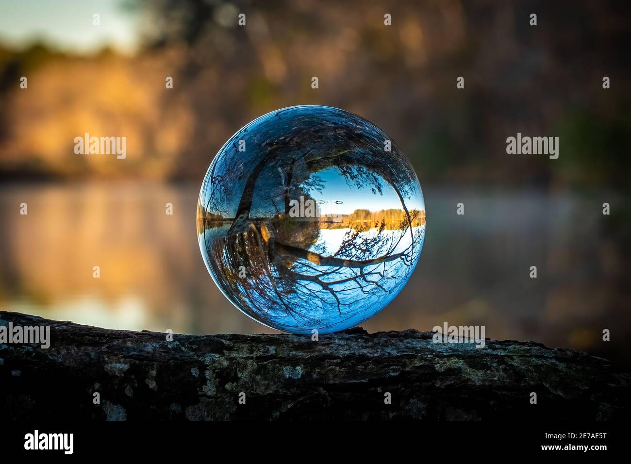 Inverted tree art hi-res stock photography and images - Alamy