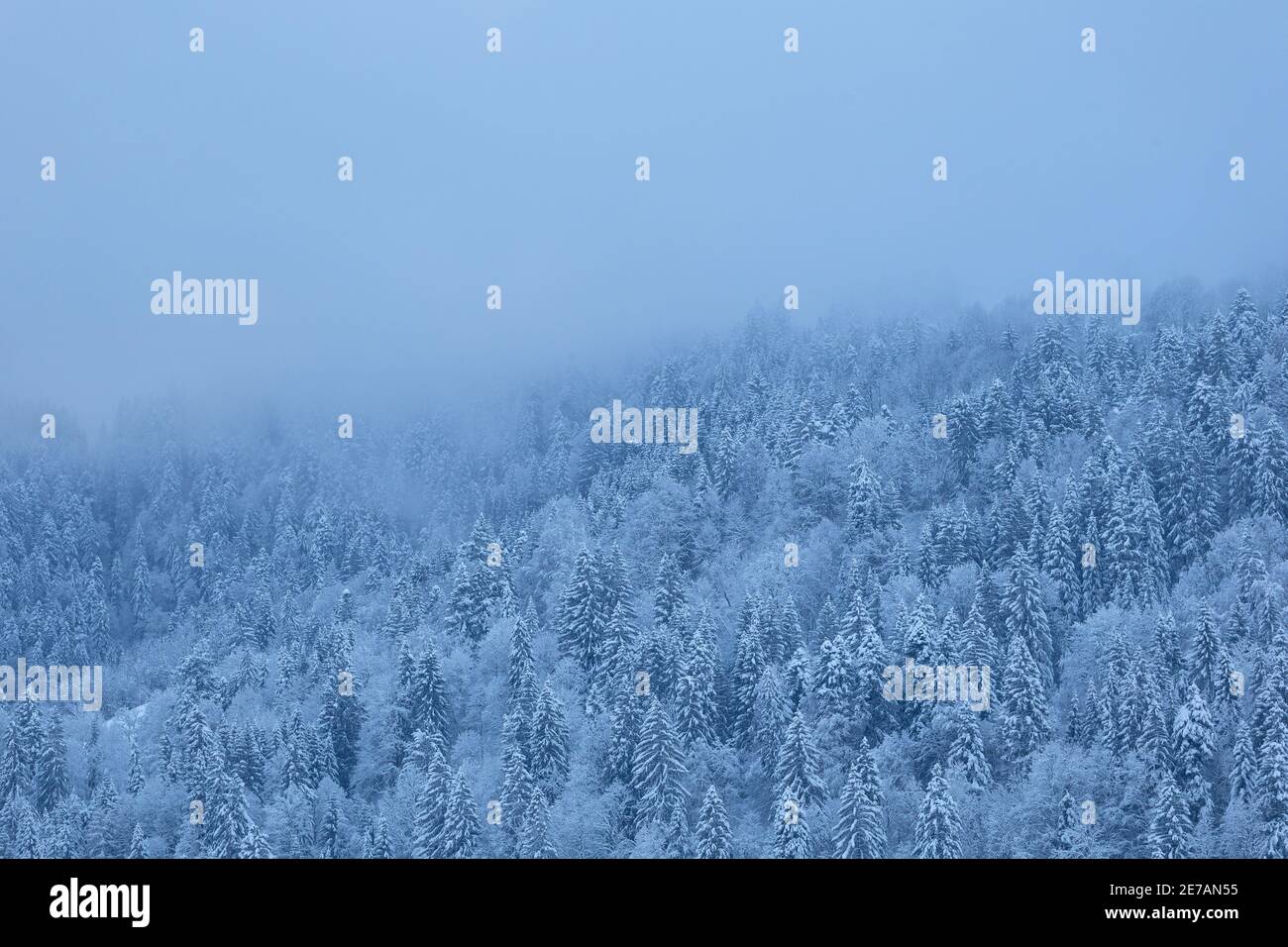 Season of mist hi-res stock photography and images - Alamy