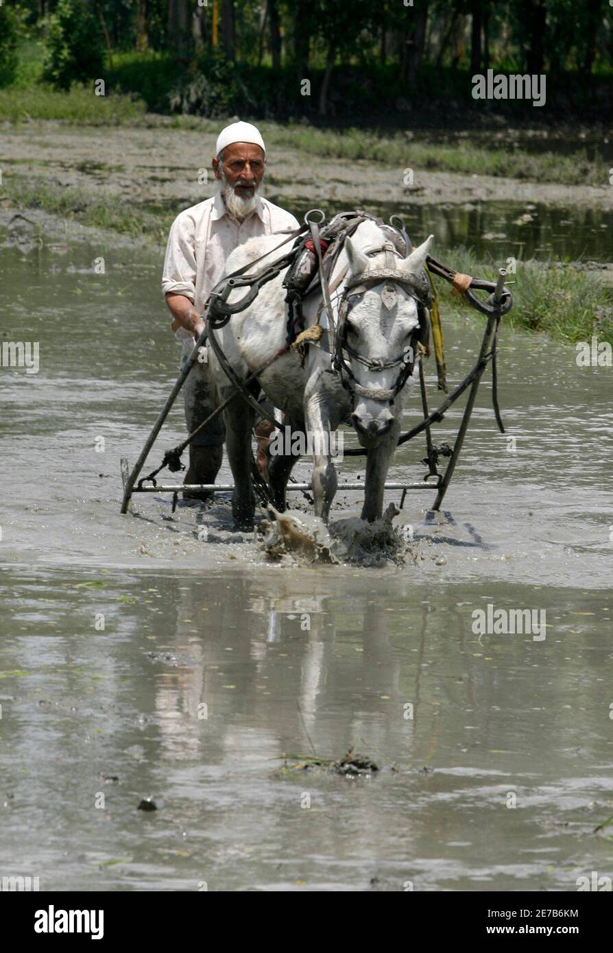 Farmer With A Horse Drawn Plough High Resolution Stock Photography and ...