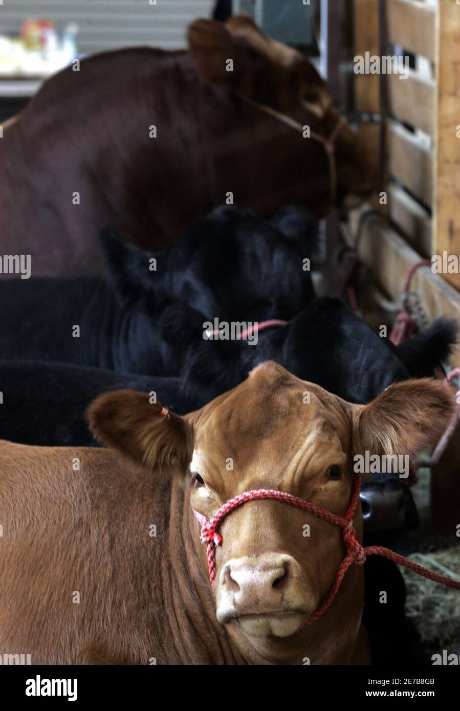 Kendallville indiana hi-res stock photography and images - Alamy