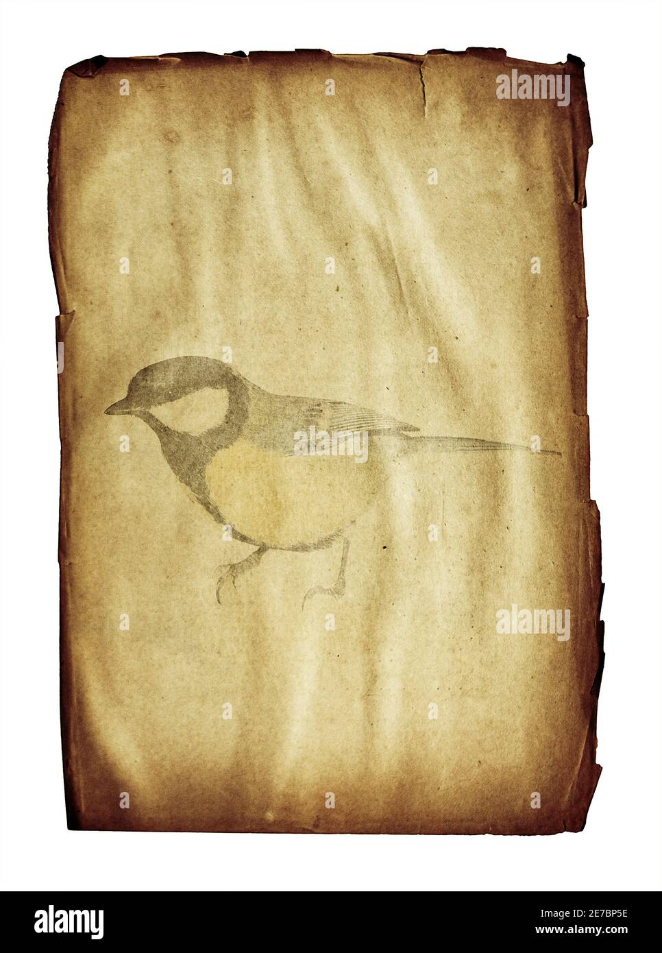 old blank page from ancient book with bird watermark isolated on white ...
