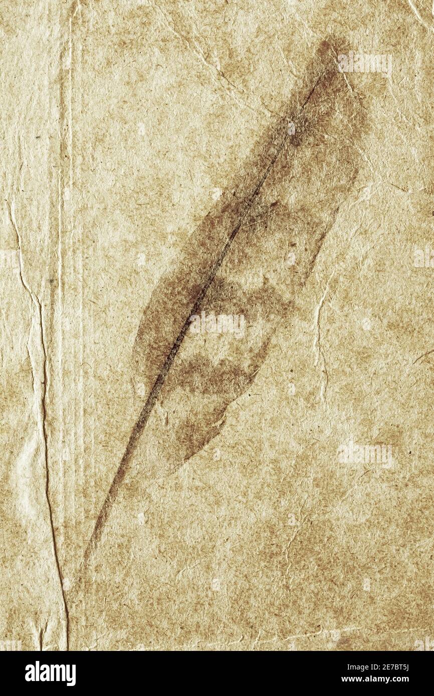 Watermark pattern hi-res stock photography and images - Alamy