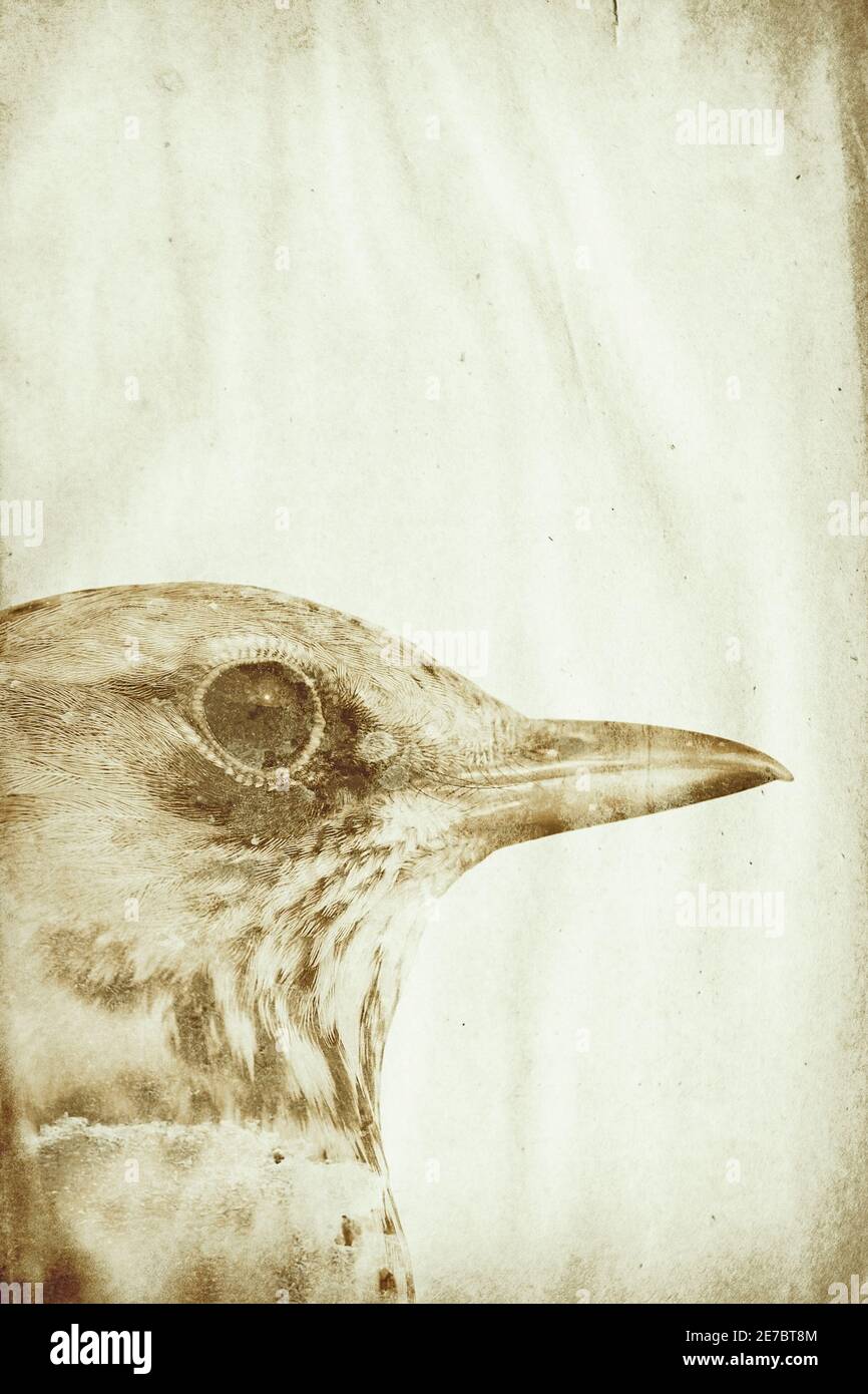 Watermark pattern hi-res stock photography and images - Alamy