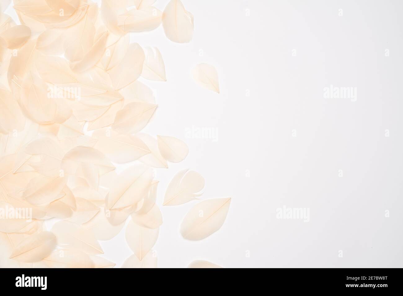 top view of White bird feathers on white background Stock Photo - Alamy