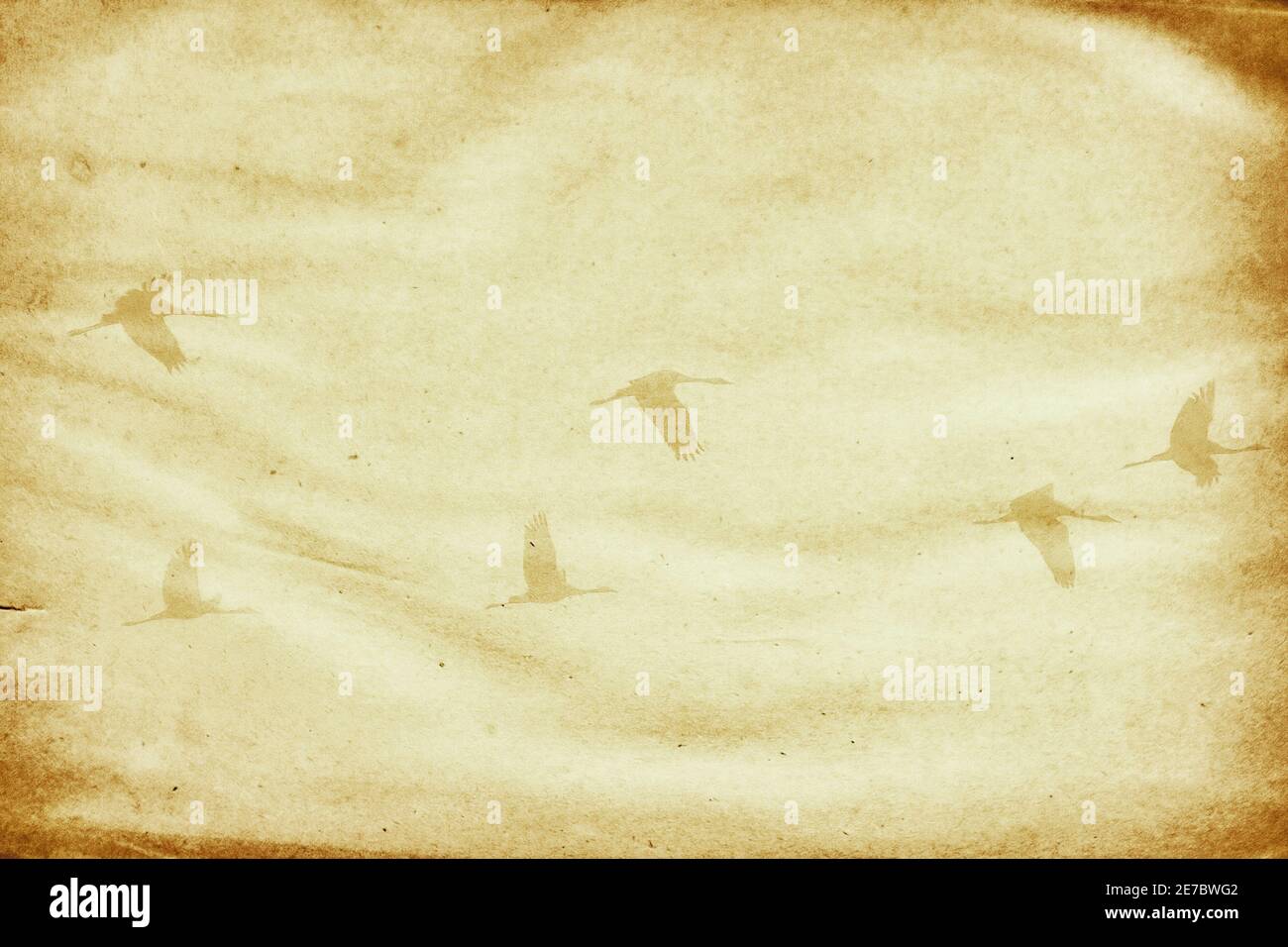 Watermark pattern hi-res stock photography and images - Alamy