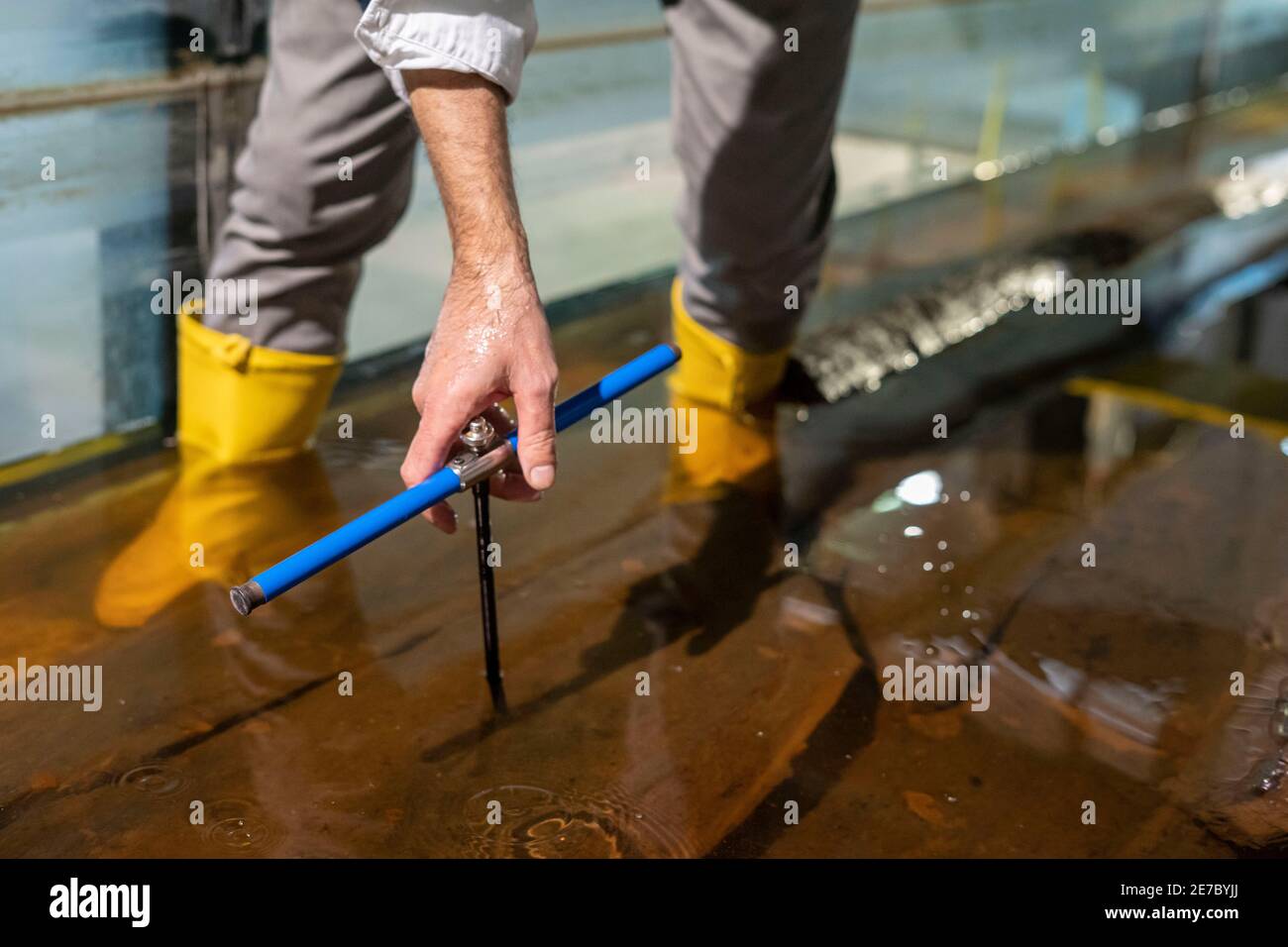 Detail of a man hands extracting pieces of ancient wood to measure its ...