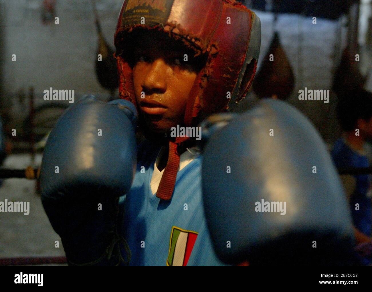 Boxer stare down hi-res stock photography and images - Alamy