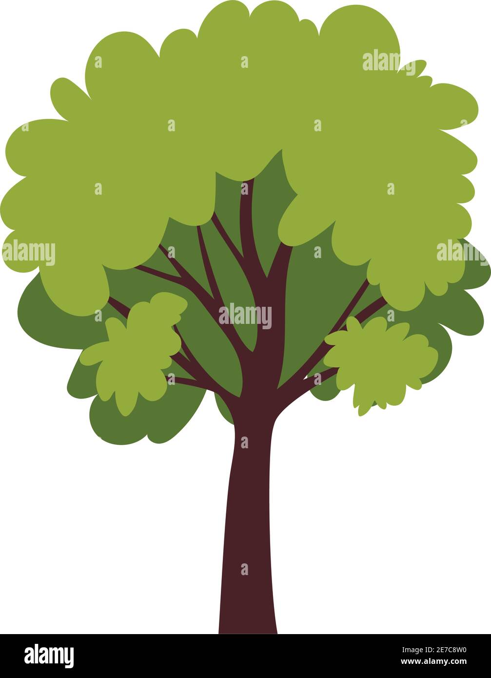 tree in a white background Stock Vector Image & Art - Alamy