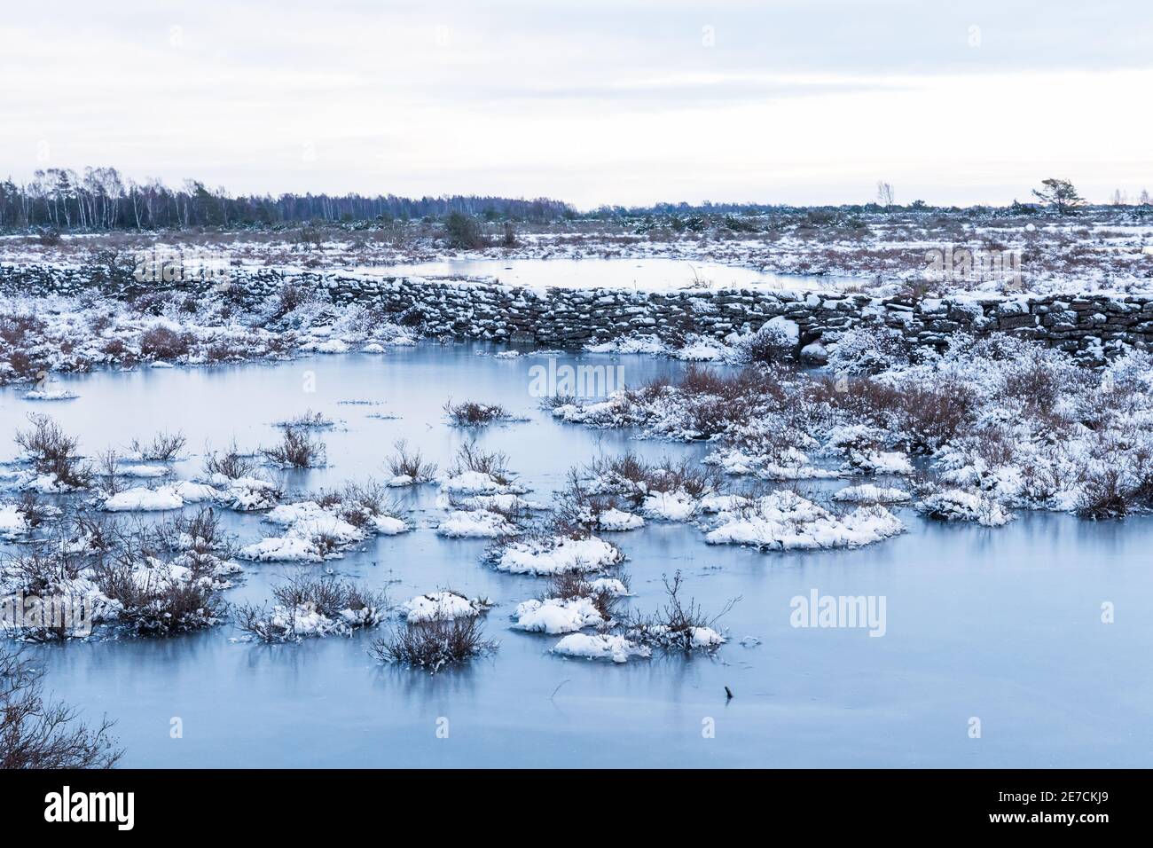 Ice covered flooded grassland in the World Heritage site of southern ...
