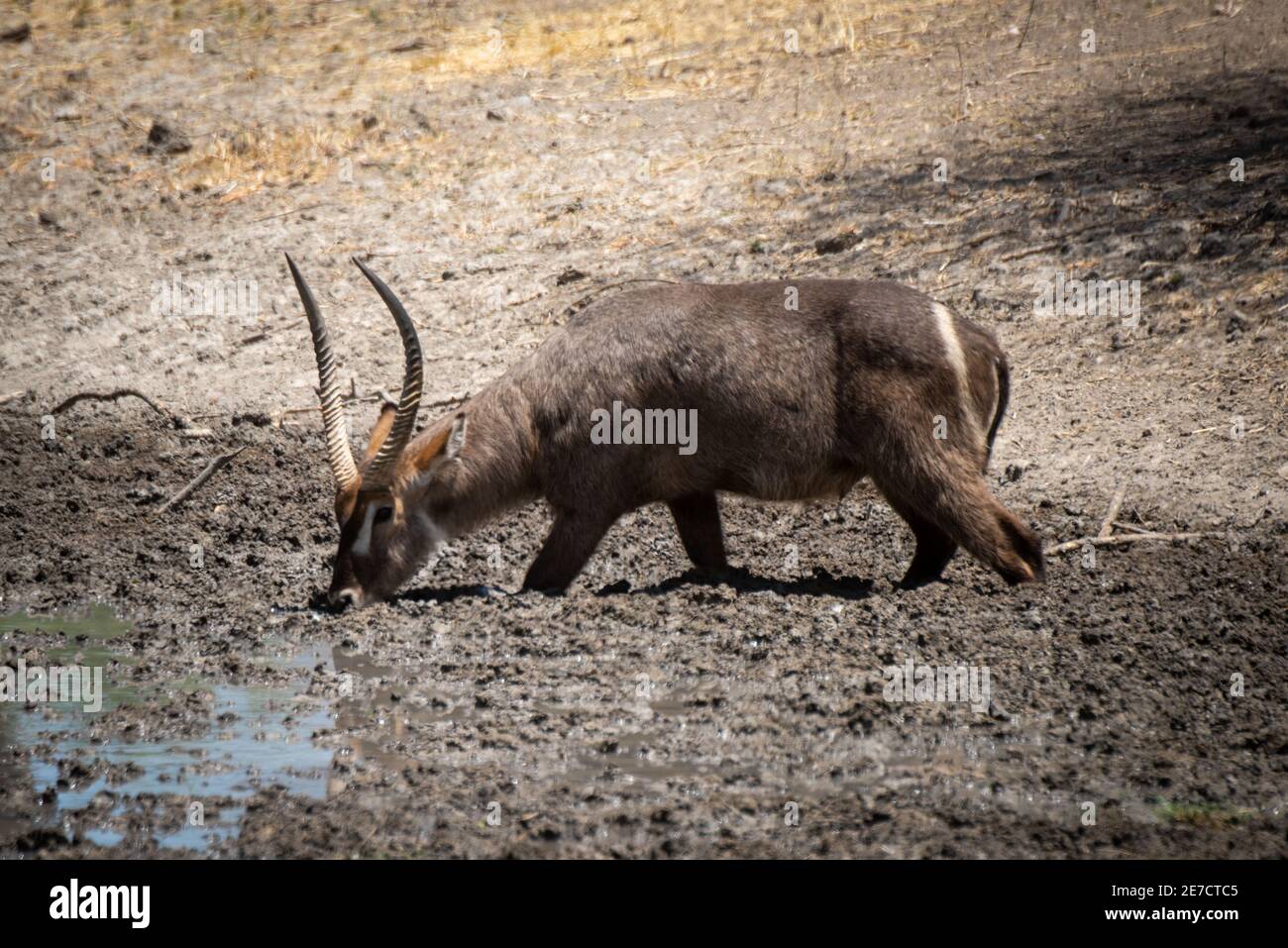 Wades waterhole hi-res stock photography and images - Alamy