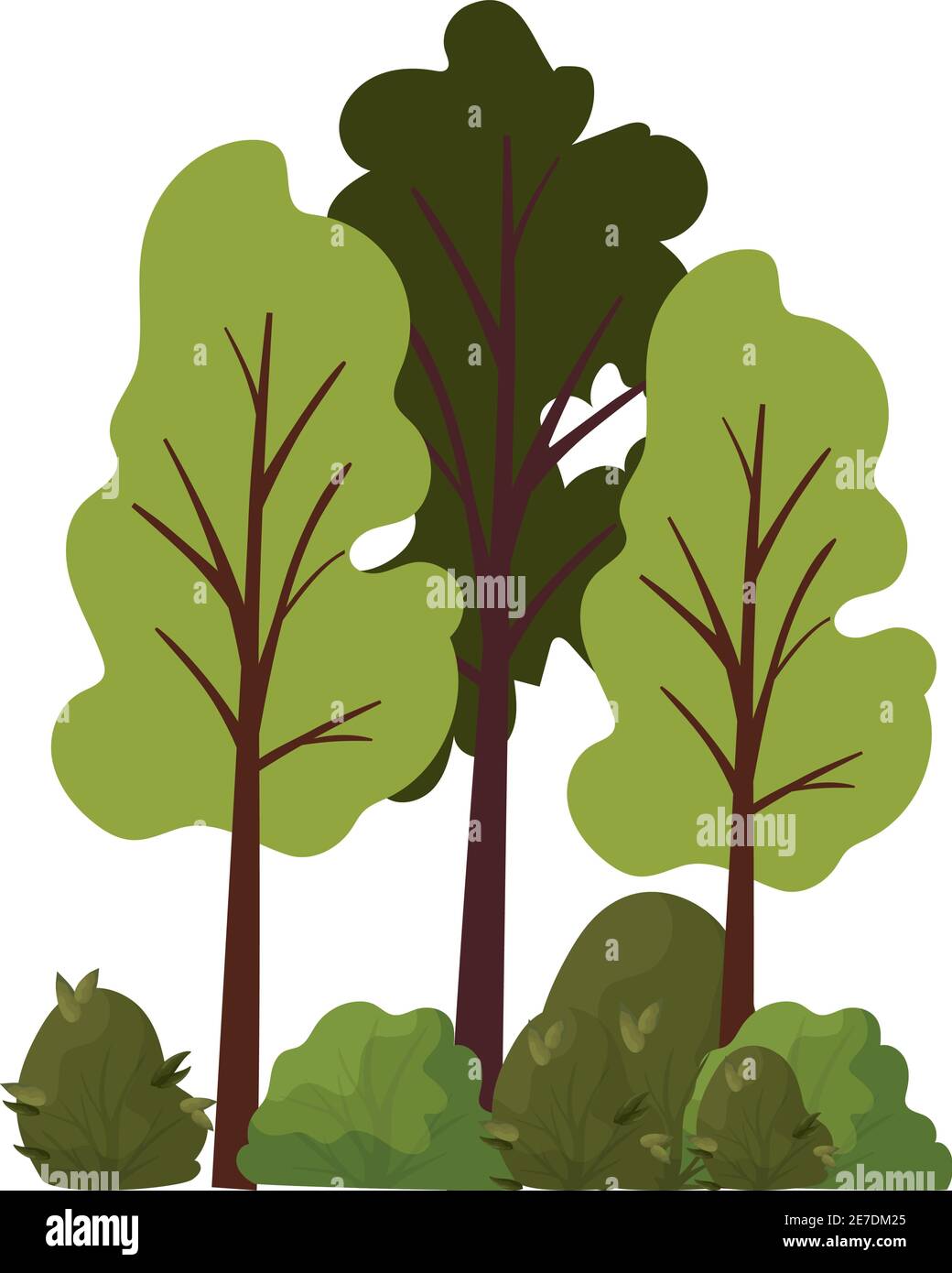 bundle of trees on a white background Stock Vector Image & Art - Alamy