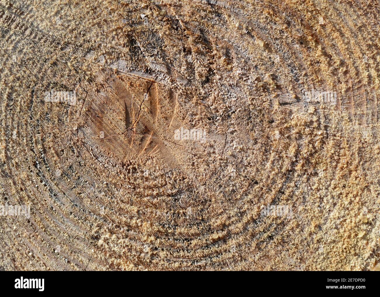 Close up of old aged weathered cracked wood profile surface texture log ...