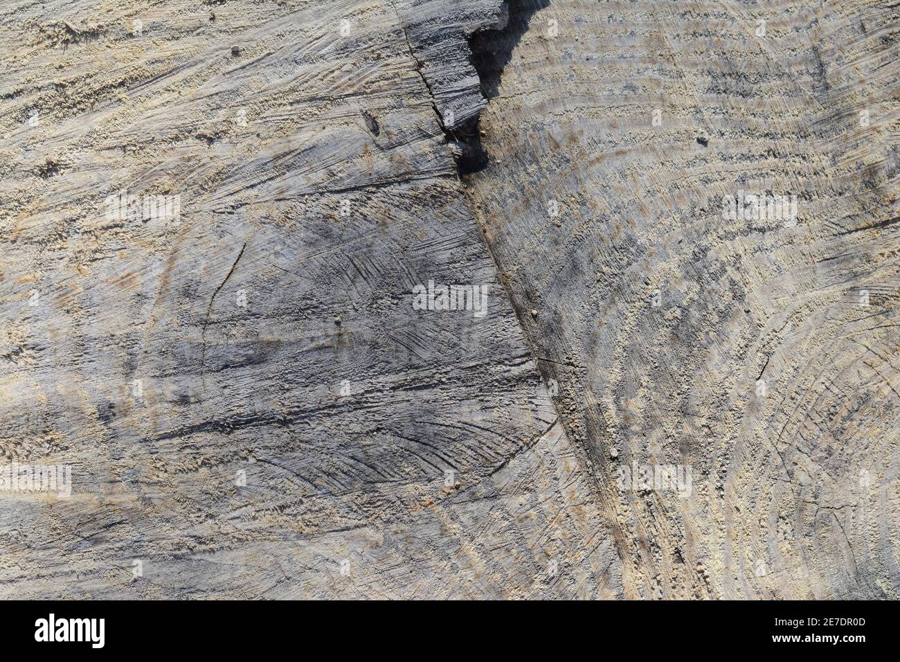 Close up of old aged weathered cracked wood profile surface texture log ...