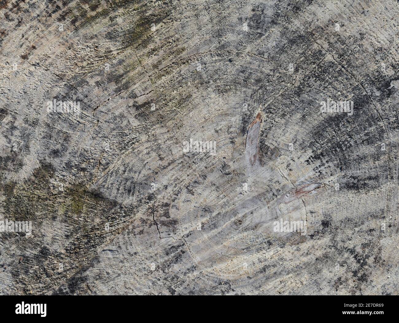 Close up of old aged weathered cracked wood profile surface texture log ...