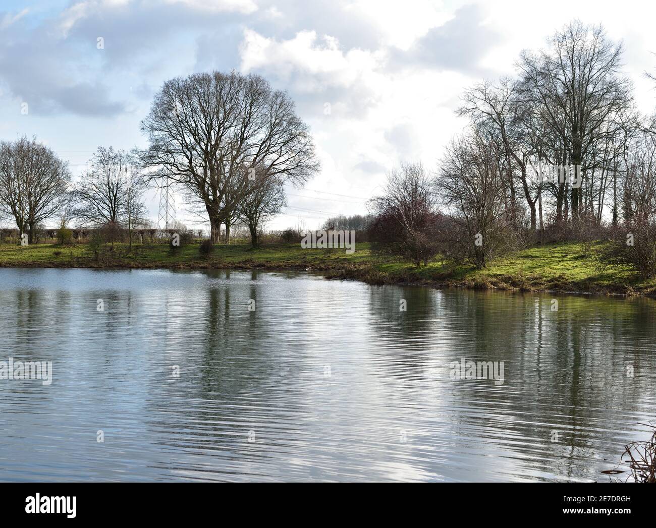 Trees on a peaceful lake shore in the Netherlands Stock Photo - Alamy