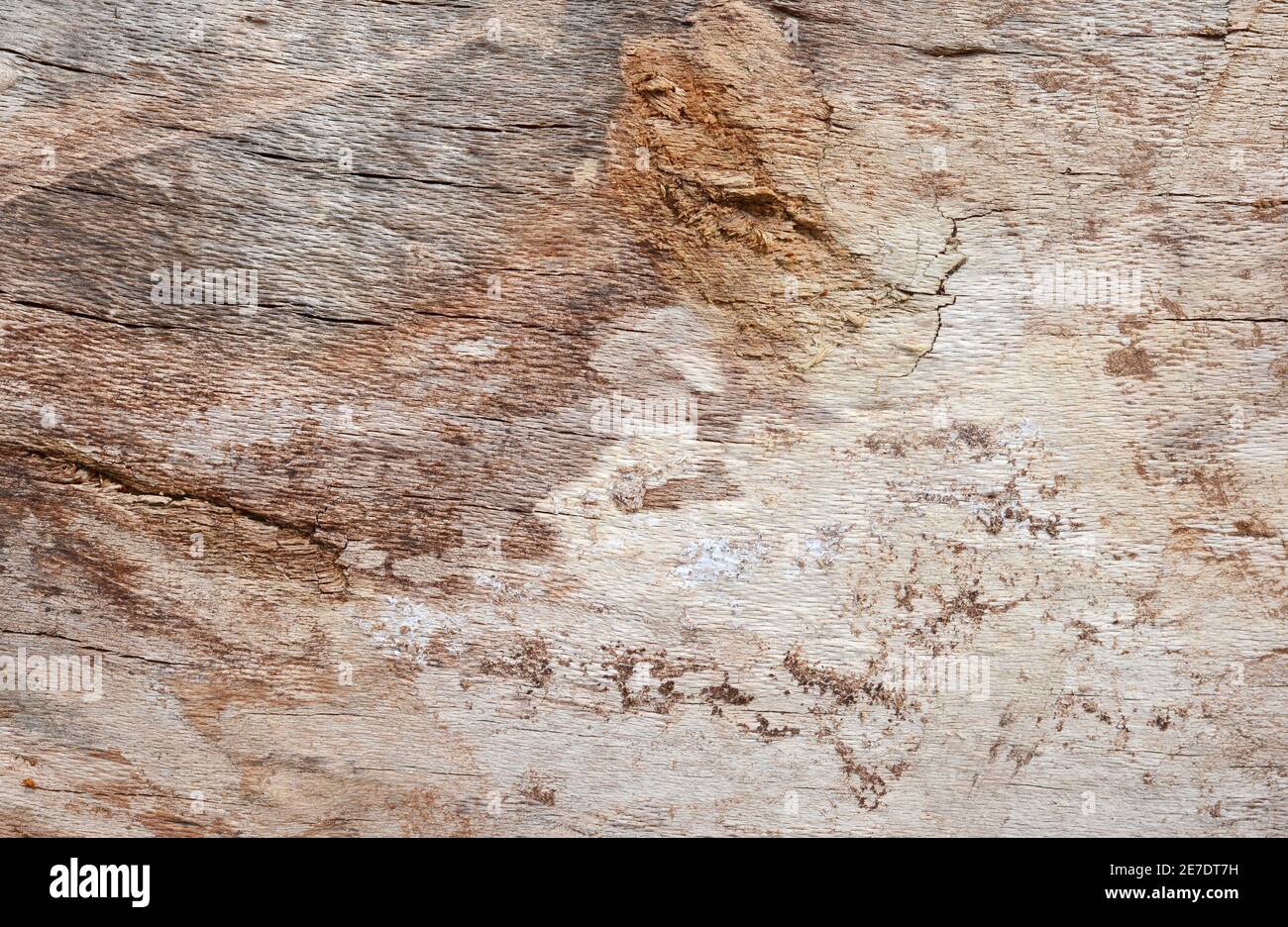 Gnarly lumber hi-res stock photography and images - Alamy