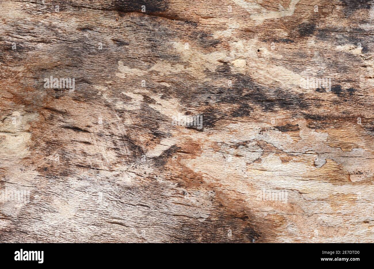 closeup of old gnarly wood planks texture background Stock Photo - Alamy