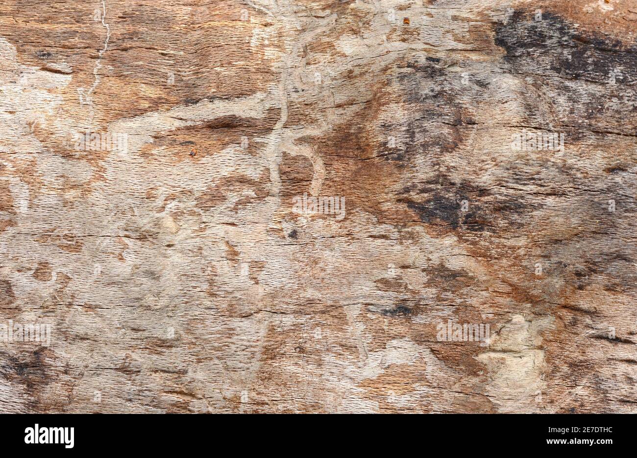 Gnarly lumber hi-res stock photography and images - Alamy