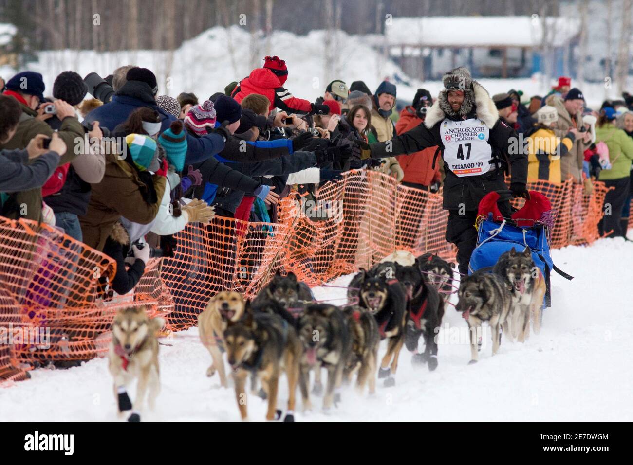 Lance mackey official iditarod start willow alaska High Resolution ...