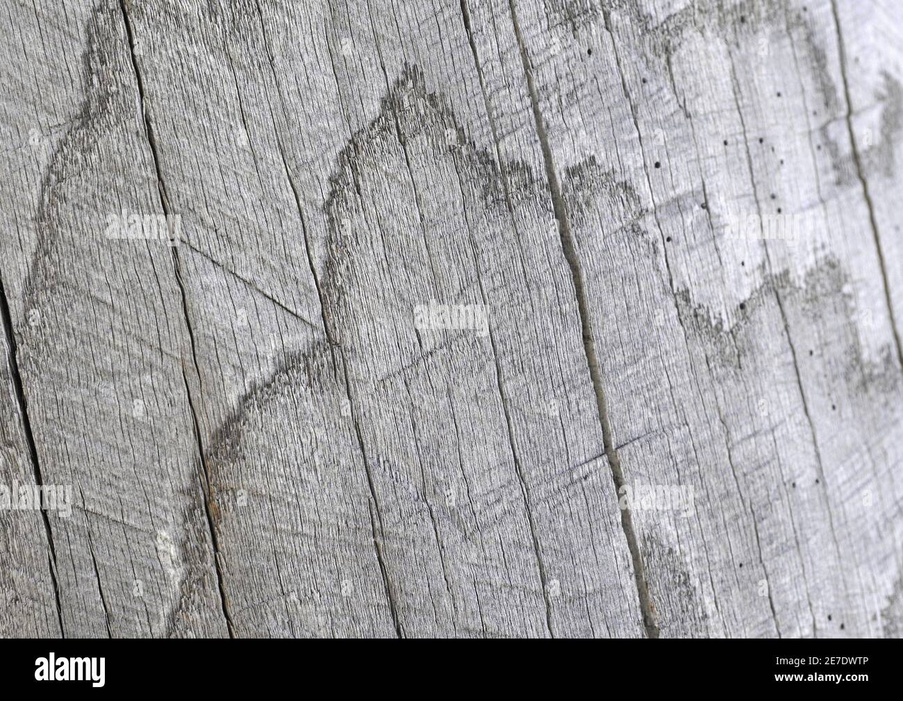 Wooden texture with scratches and cracks Stock Photo - Alamy