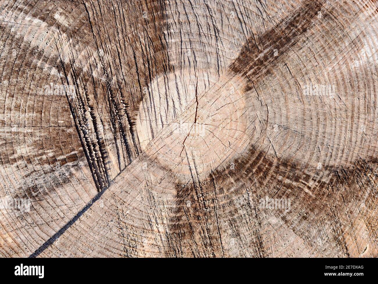 Close up of old aged weathered cracked wood profile surface texture log ...