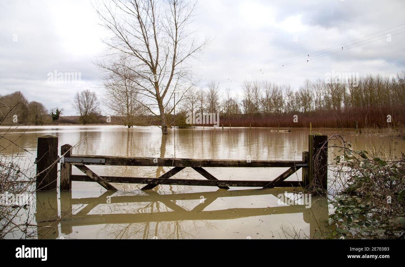 Flood floods farmland field fields hi-res stock photography and images ...