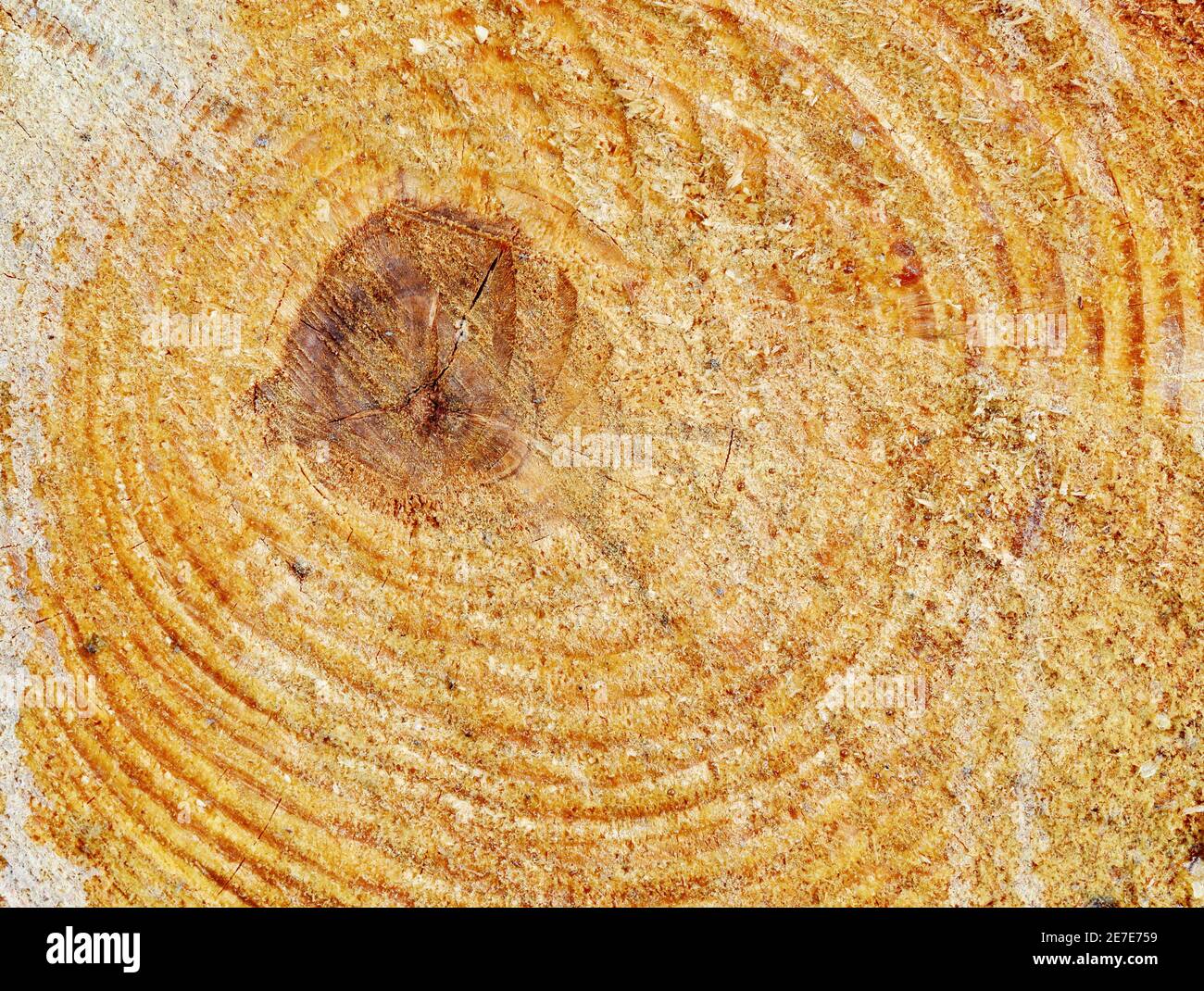 Close up of old aged weathered cracked wood profile surface texture log ...