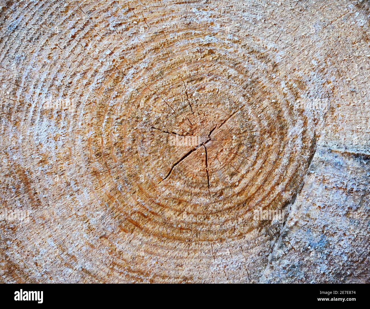 Close up of old aged weathered cracked wood profile surface texture log ...