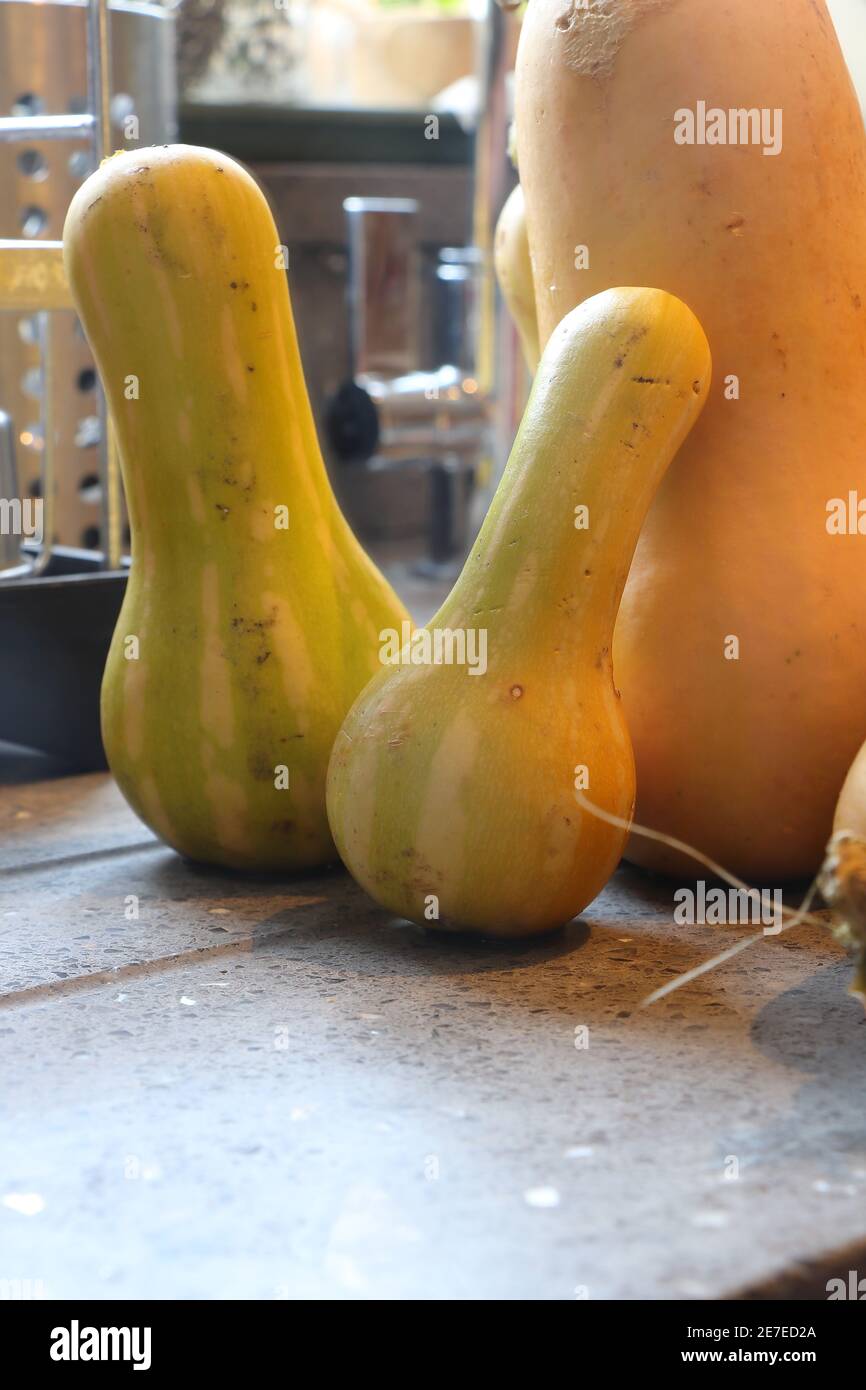 Homegrown fruit and vegetables sitting on the counter top Stock Photo ...