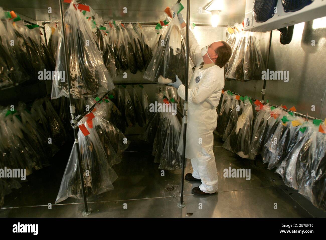 National wildlife repository hi-res stock photography and images - Alamy