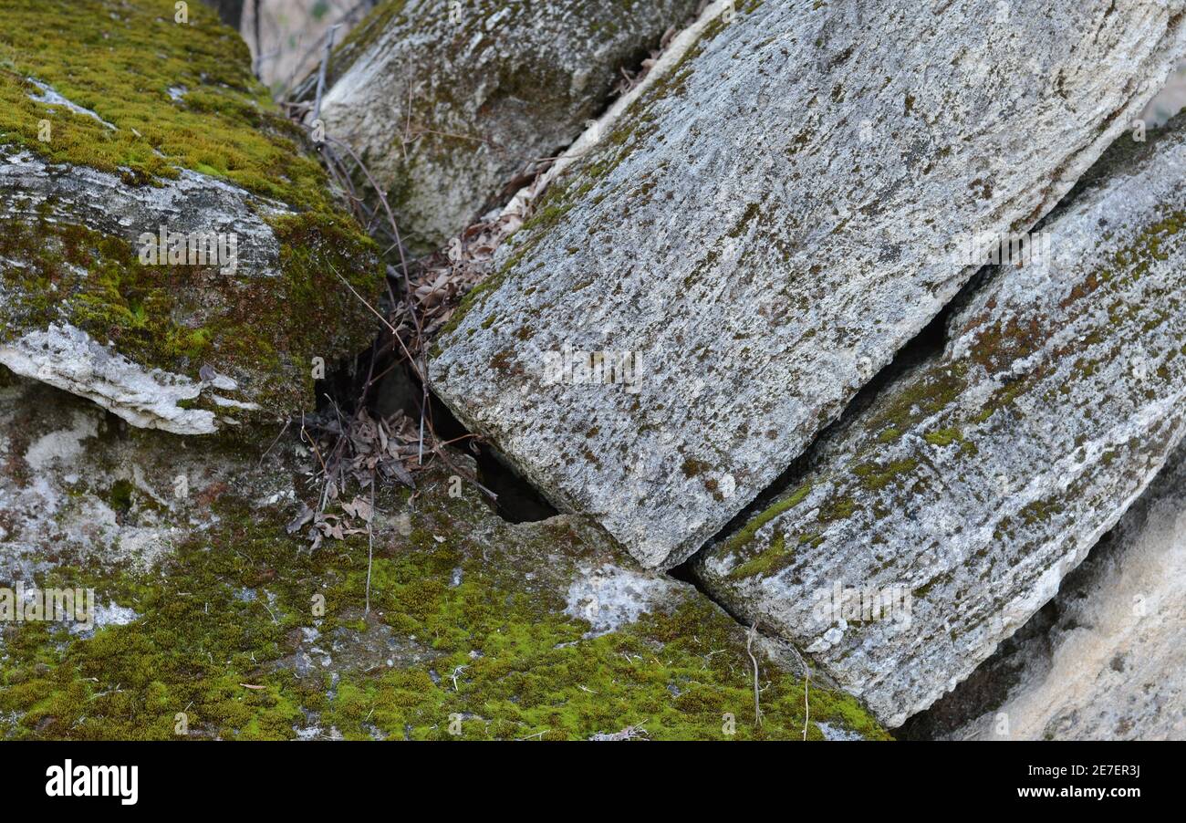 Stone texture close up detail Stock Photo - Alamy